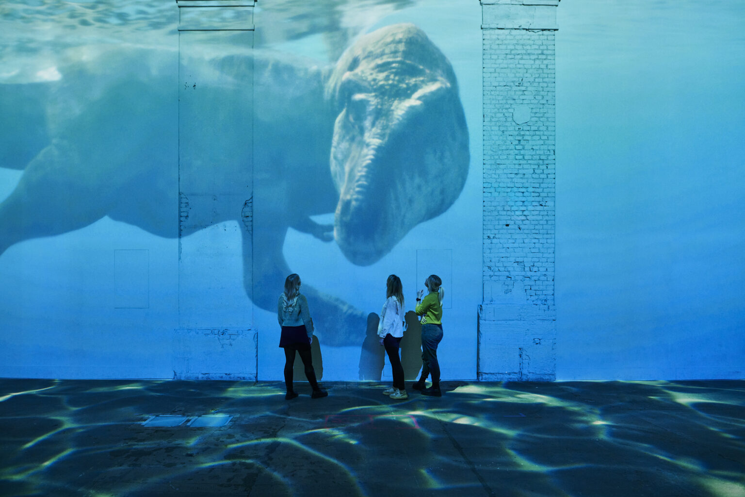 Dinosaurier-Show startet im Phoenix des Lumières | Moersianer on Tour